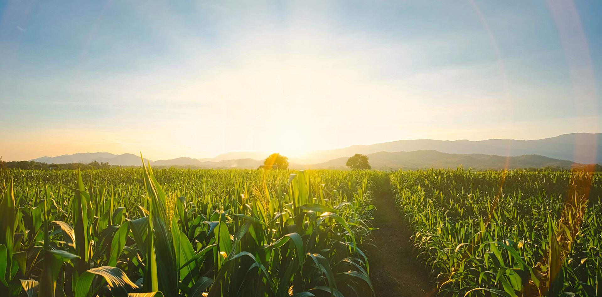 Alidad • Le groupe Alidad : accompagnement du monde agricole en ...